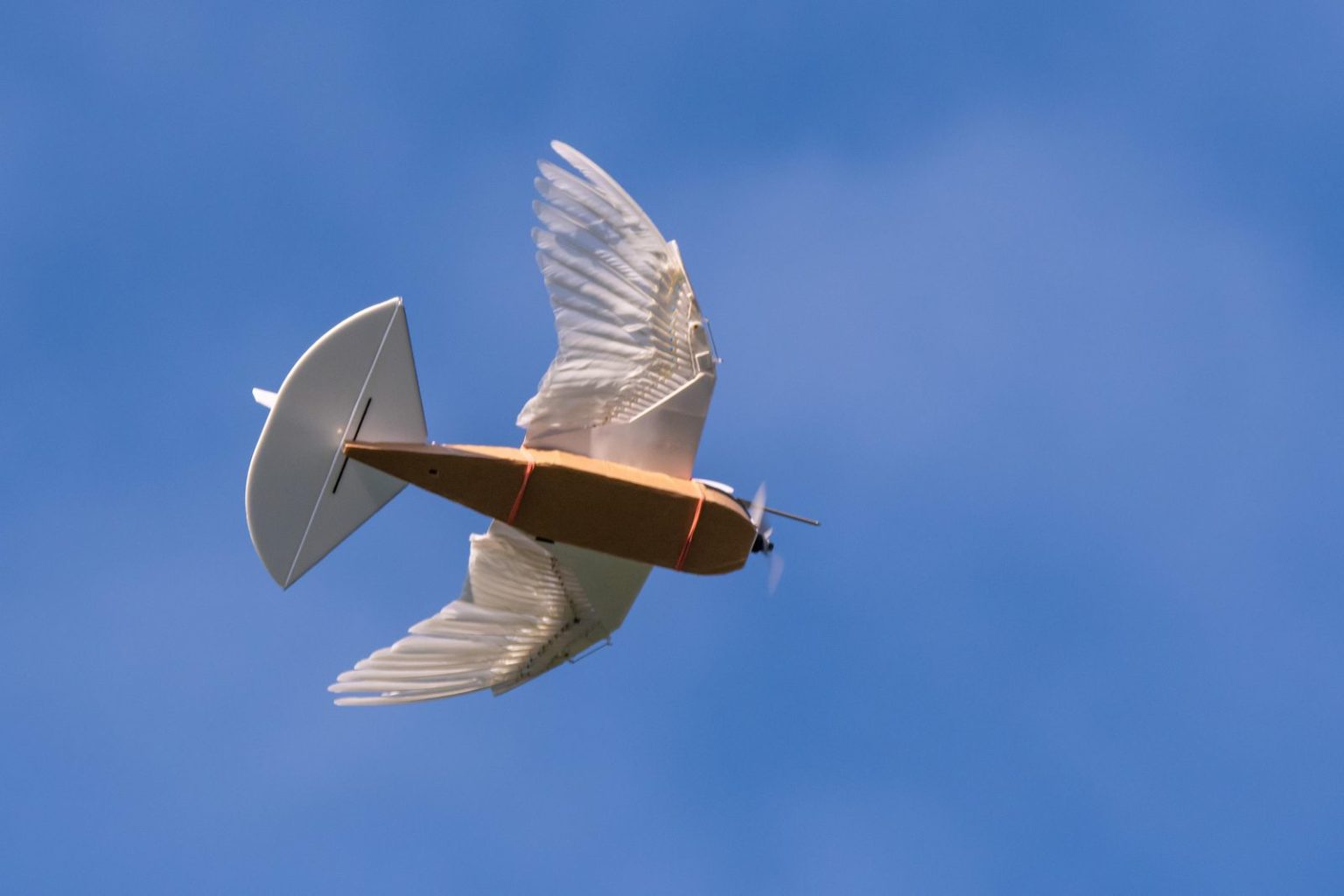 Pigeonbot : un drone sous forme d'oiseau